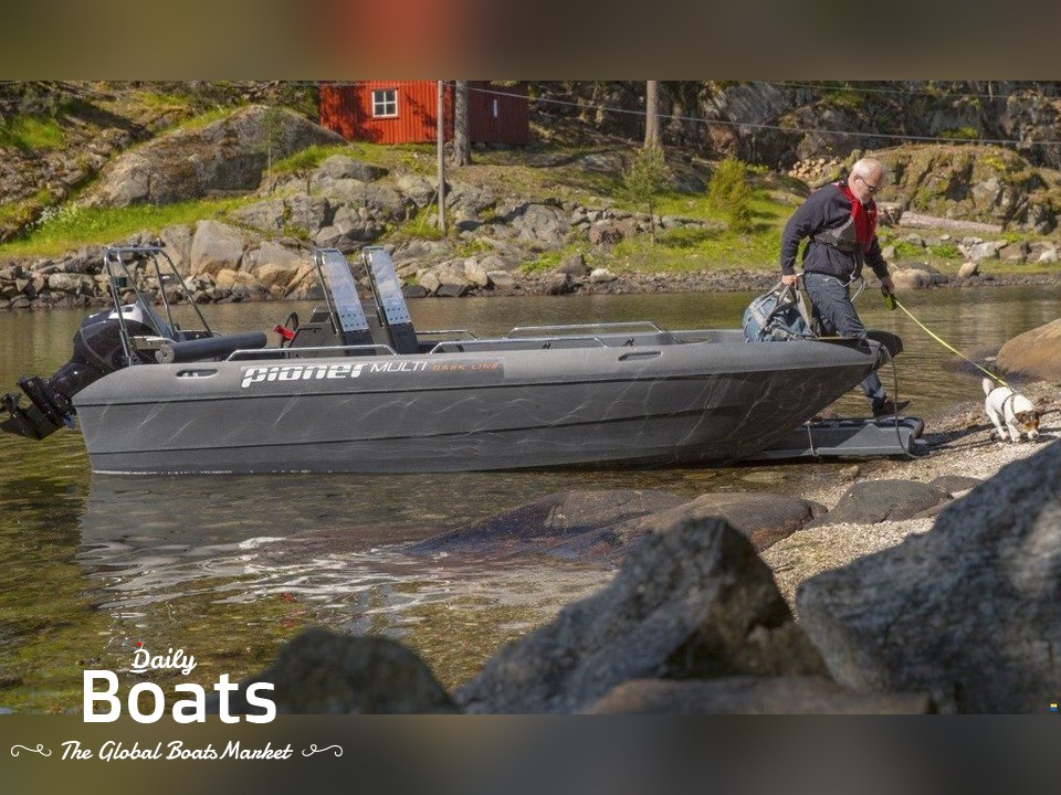 Pioner Multi for sale. View price, photos and Buy Pioner Multi #355046