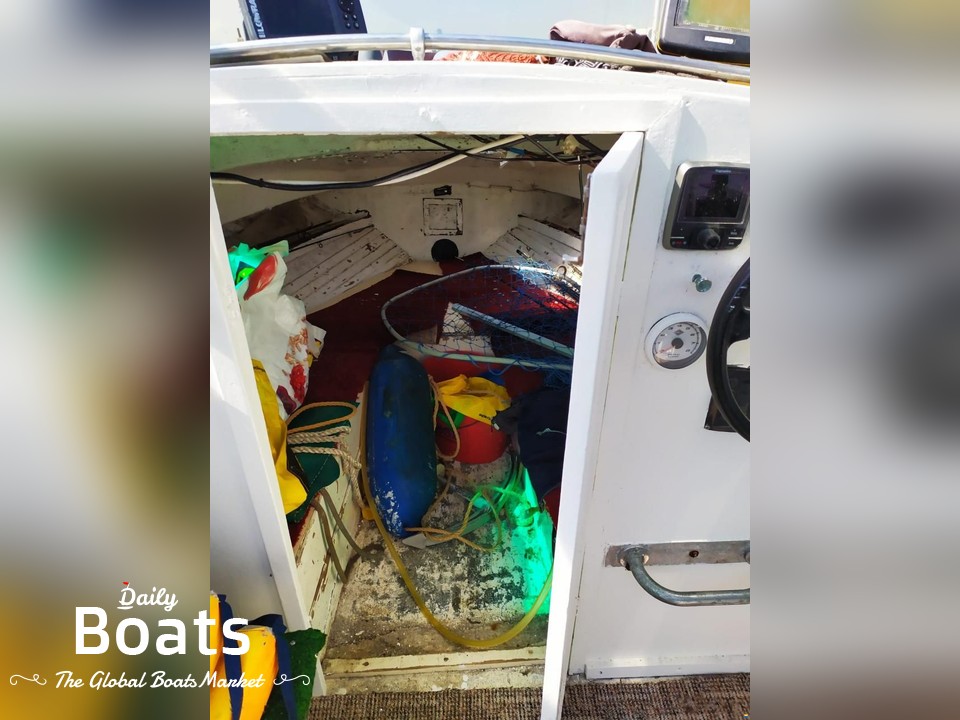 Wiener ddr for sale - Daily Boats