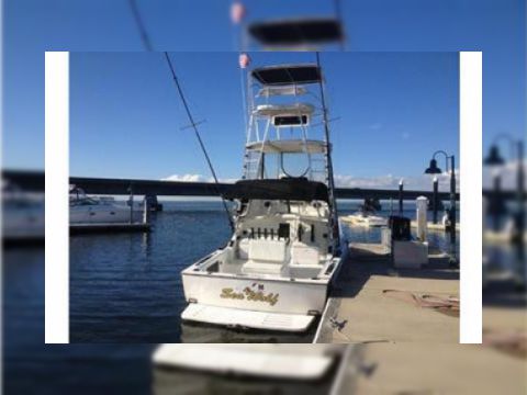 1979 Bertram 28 Sportfish for sale. View price, photos and Buy 1979 ...