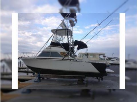1979 Bertram 28 Sportfish for sale. View price, photos and Buy 1979 ...
