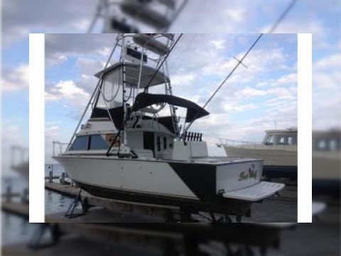 1979 Bertram 28 Sportfish for sale. View price, photos and Buy 1979 ...