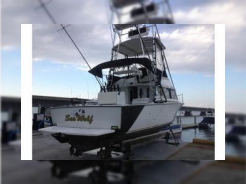 1979 Bertram 28 Sportfish for sale. View price, photos and Buy 1979 ...