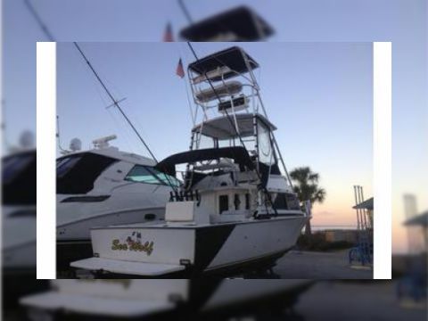 1979 Bertram 28 Sportfish for sale. View price, photos and Buy 1979 ...
