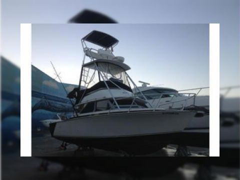 1979 Bertram 28 Sportfish for sale. View price, photos and Buy 1979 ...