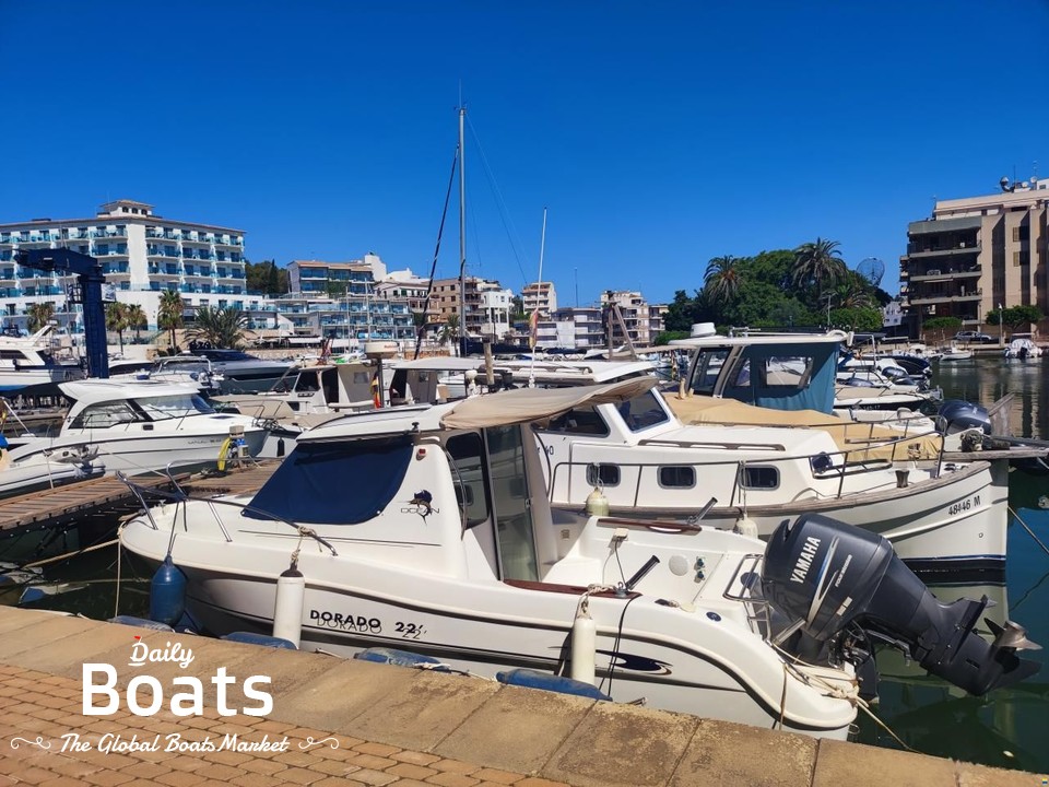 2008 Sessa Dorado 22 for sale. View price, photos and Buy 2008 Sessa ...