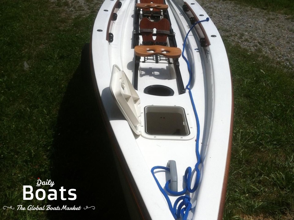 2014 Virus Electric Yole Custom for sale. View price, photos and Buy ...