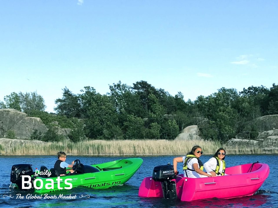 River 290 Mit Tohatsu 9.8 Ps for sale. View price, photos and Buy River ...