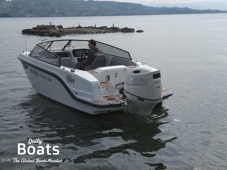 Silver Tiger Dcz Einzigartiger Petestep Rumpf for sale. View price ...