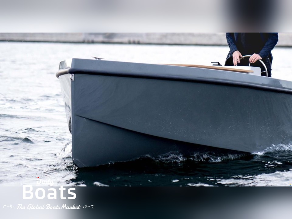 2021 Rand Picnic 18 E-Drive - S.Verfuegbar for sale. View price, photos ...