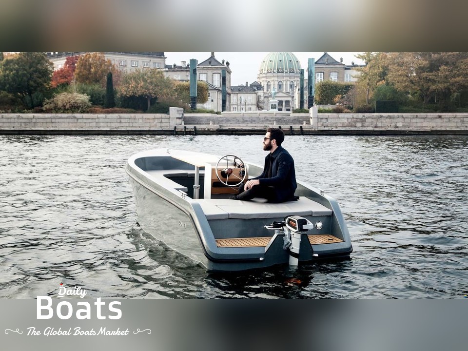 2021 Rand Picnic 18 E-Drive - S.Verfuegbar for sale. View price, photos ...