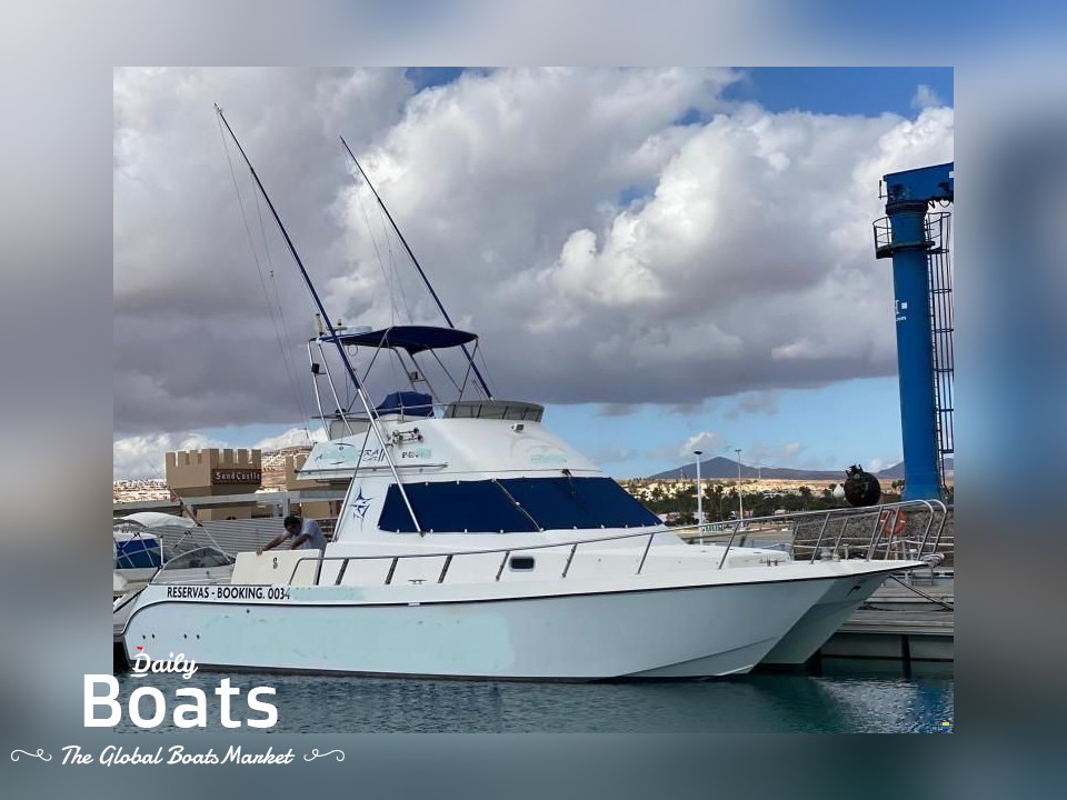 2001 Cata Cata 356 for sale. View price, photos and Buy 2001 Cata Cata ...