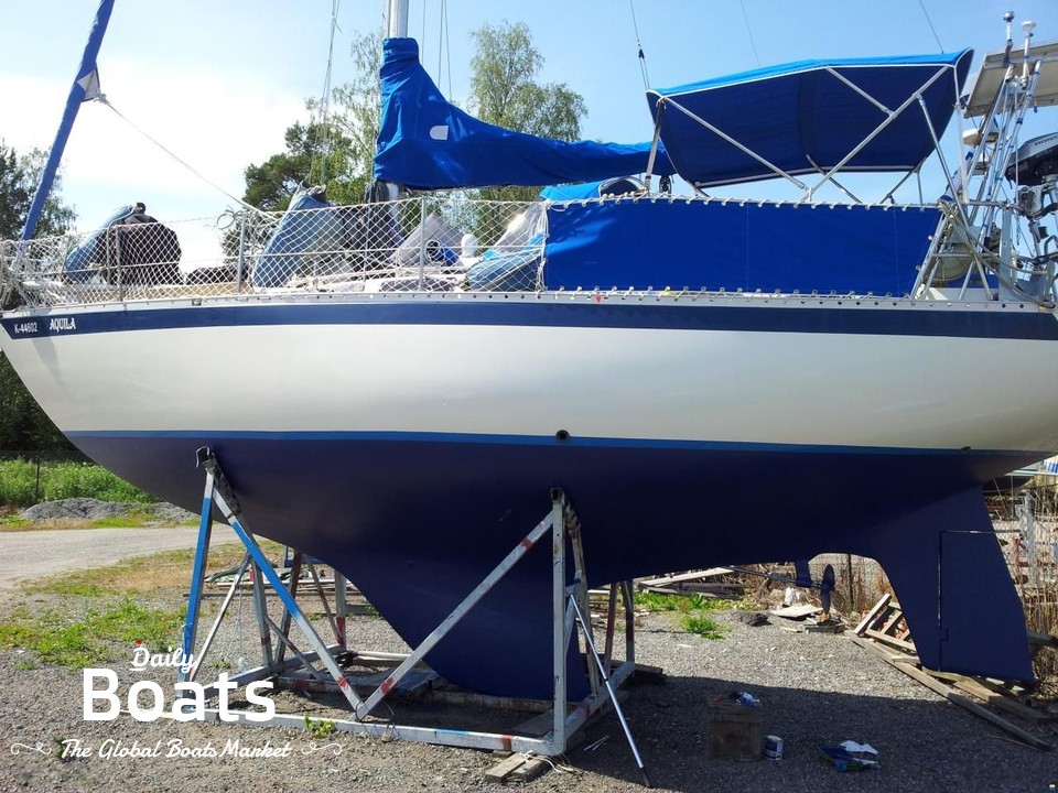Jon 30 for sale - Daily Boats