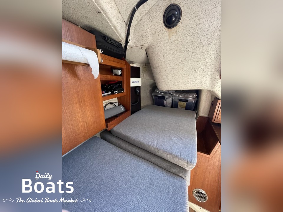 1977 Maxi 87 for sale. View price, photos and Buy 1977 Maxi 87 #364447