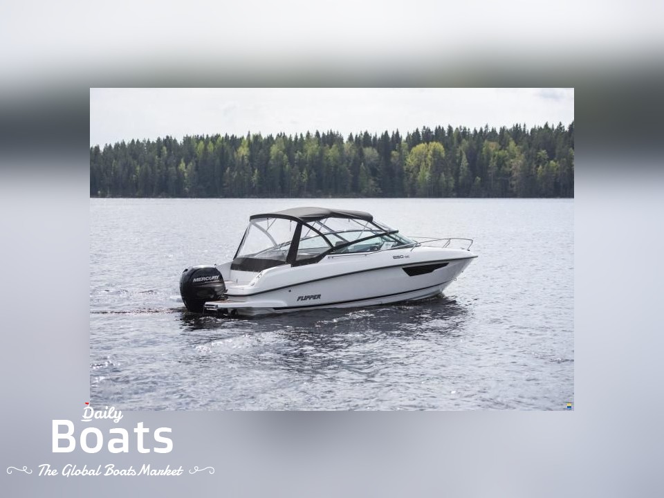 Flipper 650 Daycruiser for sale. View price, photos and Buy Flipper 650 ...