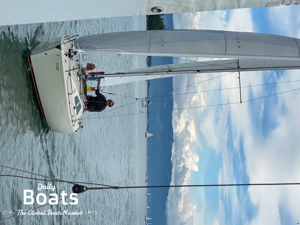 1986 International 806 - Ol Werft for sale. View price, photos and Buy ...