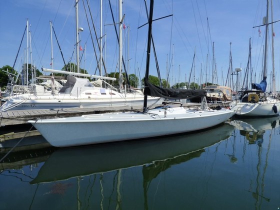 Regatta boats - Boat types - Daily Boats