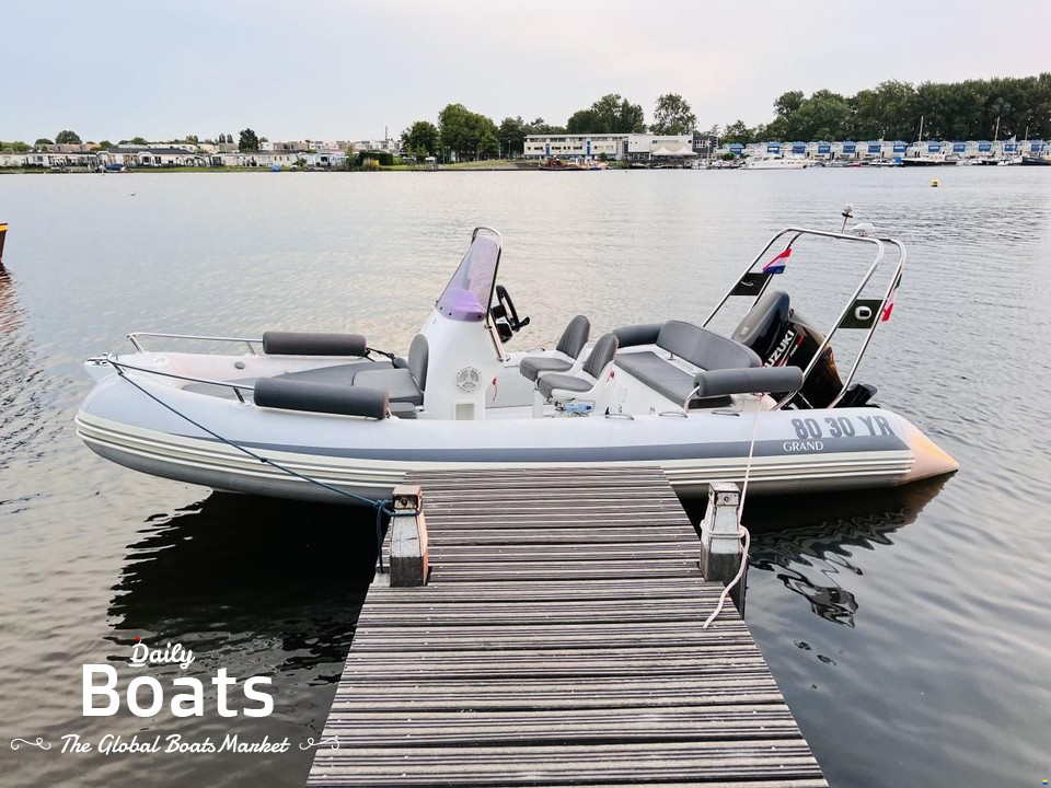 2011 GRAND Silver Line Cruiser S550 for sale. View price, photos and ...