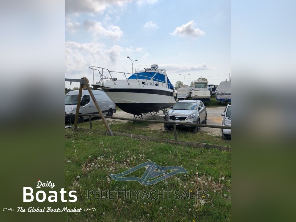 1979 Vizianello Vz 29 for sale. View price, photos and Buy 1979 ...