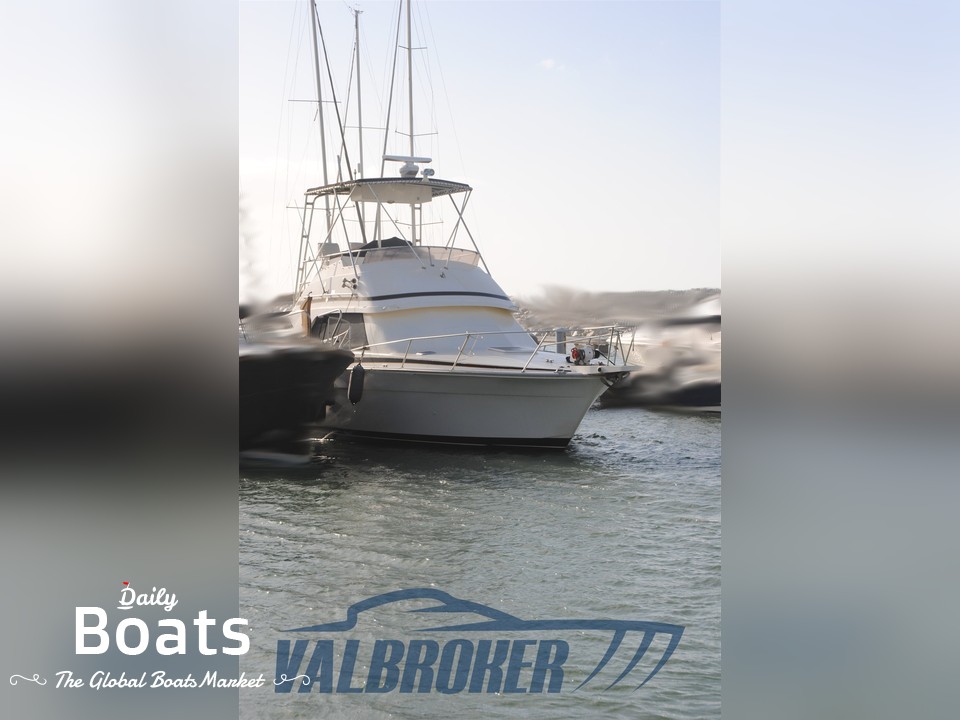 1987 Bertram Yacht 37' Convertible for sale. View price, photos and Buy ...