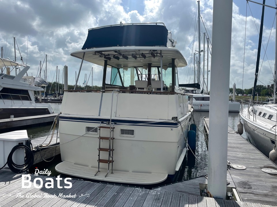 1979 Hatteras 43 Double Cabin Motoryacht for sale. View price, photos ...