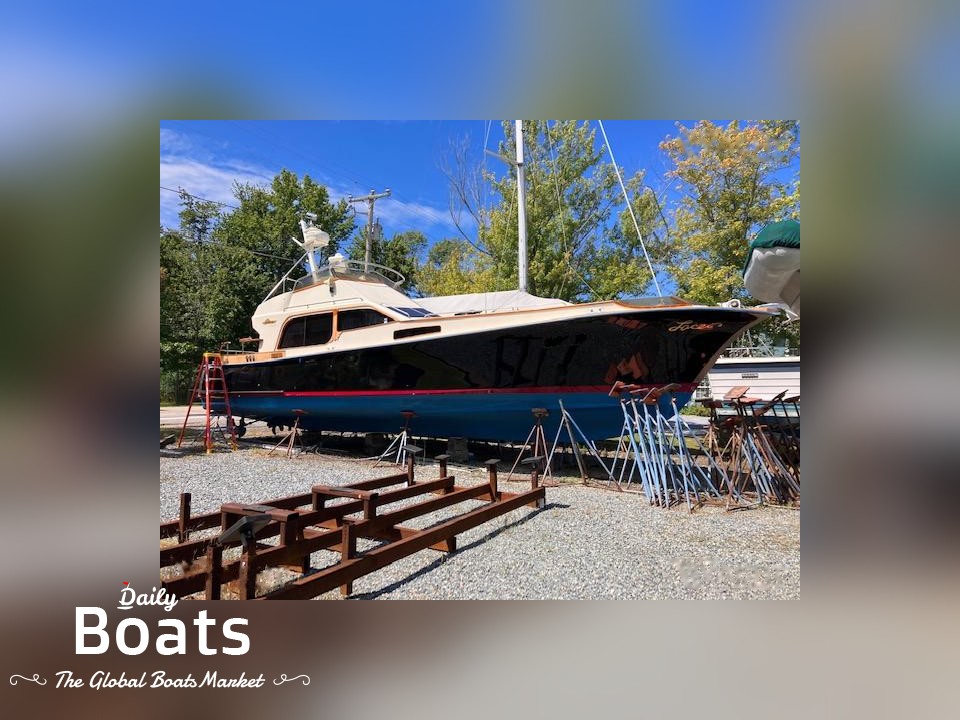 Midnight Lace for sale - Daily Boats