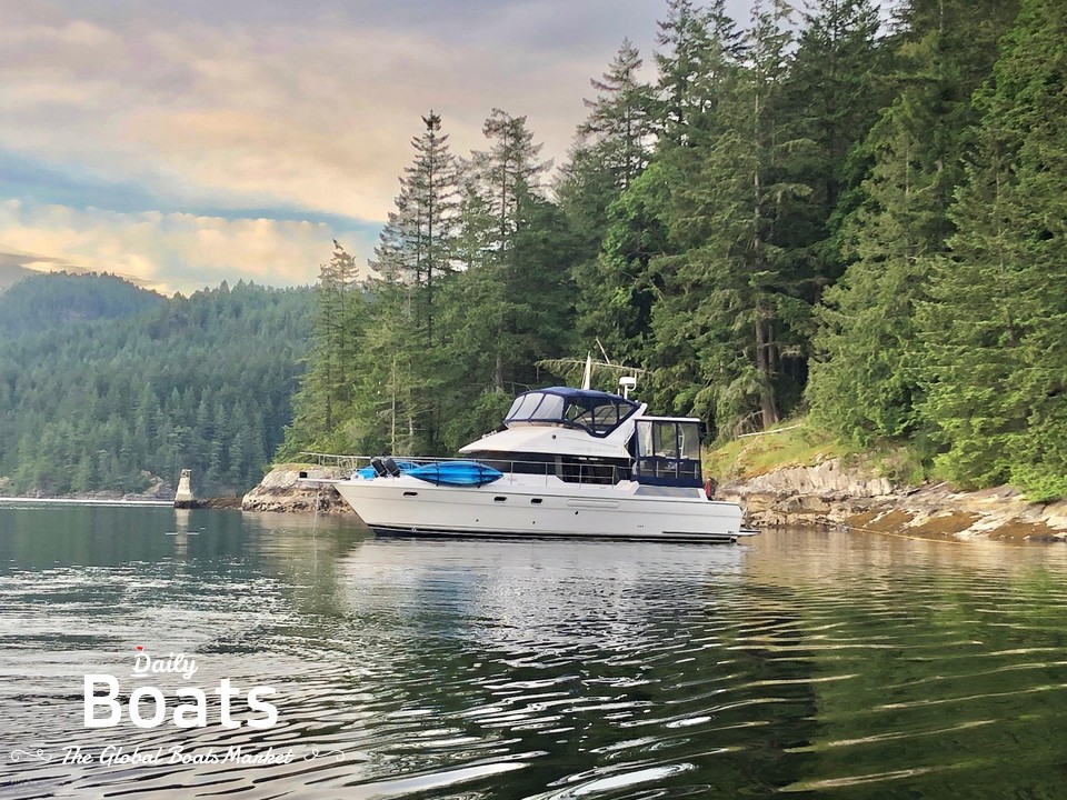 1994 Bayliner 4587 Motoryacht for sale. View price, photos and Buy 1994 ...