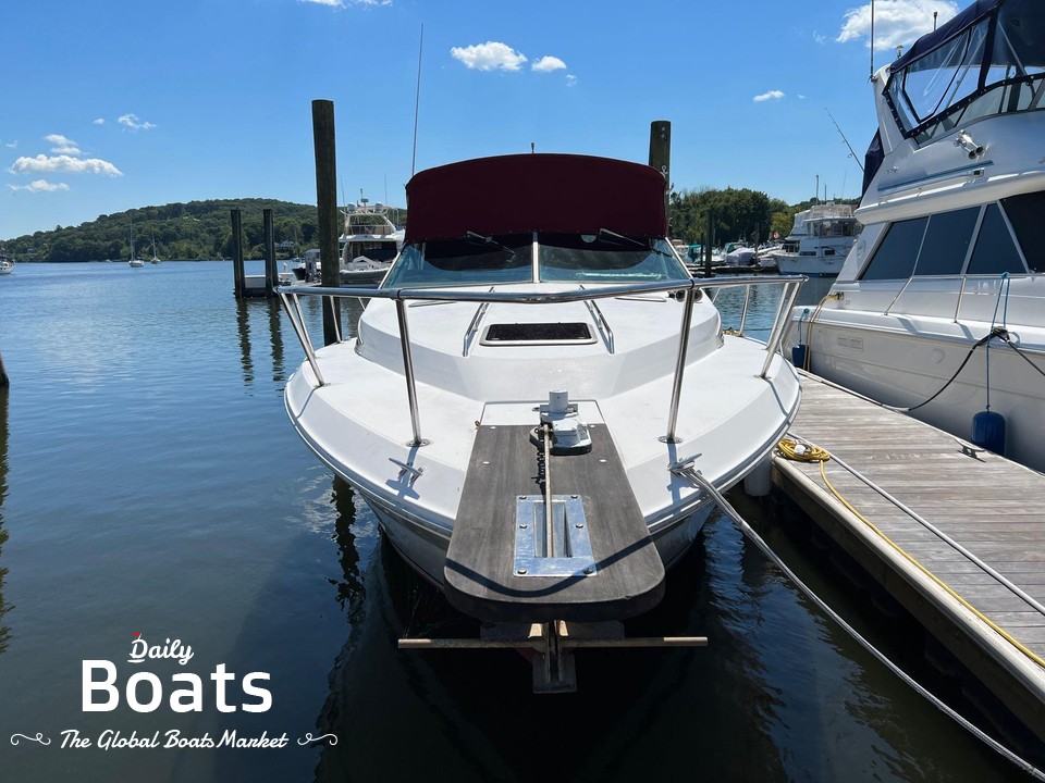 1989 Sea Ray Sun Dancer for sale. View price, photos and Buy 1989 Sea ...