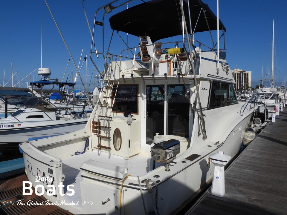 1977 Hatteras Convertible for sale. View price, photos and Buy 1977 ...
