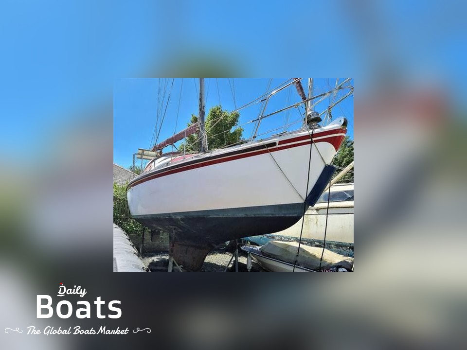 1979 Stag 28 for sale. View price, photos and Buy 1979 Stag 28 #377418