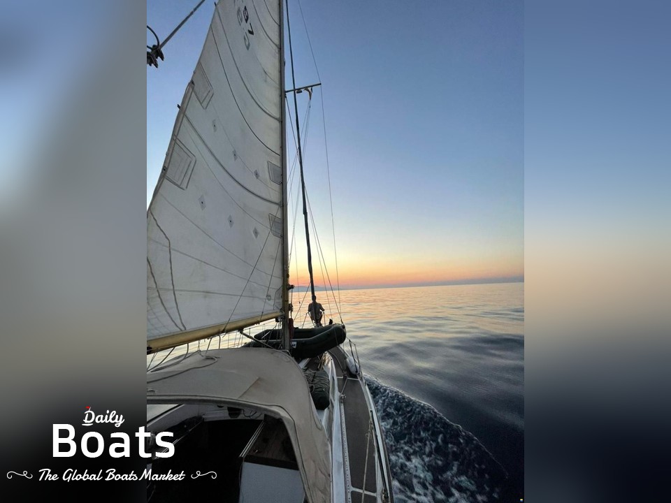 1975 Conyplex Contest 31 Ht A for sale. View price, photos and Buy 1975 ...