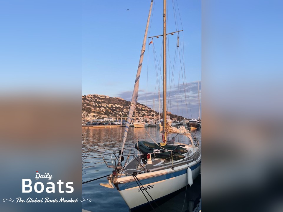 1975 Conyplex Contest 31 Ht A for sale. View price, photos and Buy 1975 ...