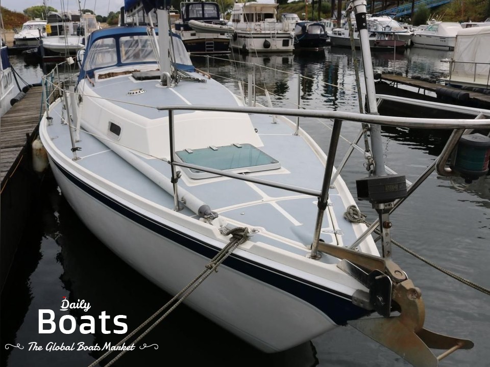 1979 CAL 31 for sale. View price, photos and Buy 1979 CAL 31 #382987