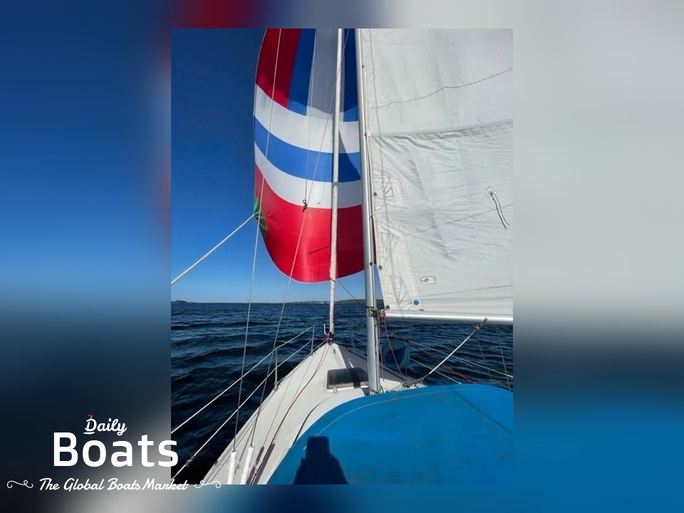 1982 LM Boats / LM Glasfiber 22 for sale. View price, photos and Buy ...