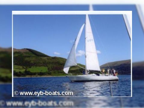 1984 Sigma 41 for sale. View price, photos and Buy 1984 Sigma 41 #38371