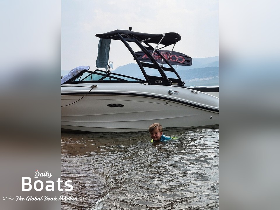 2018 Sea Ray Spx 190 for sale. View price, photos and Buy 2018 Sea Ray ...