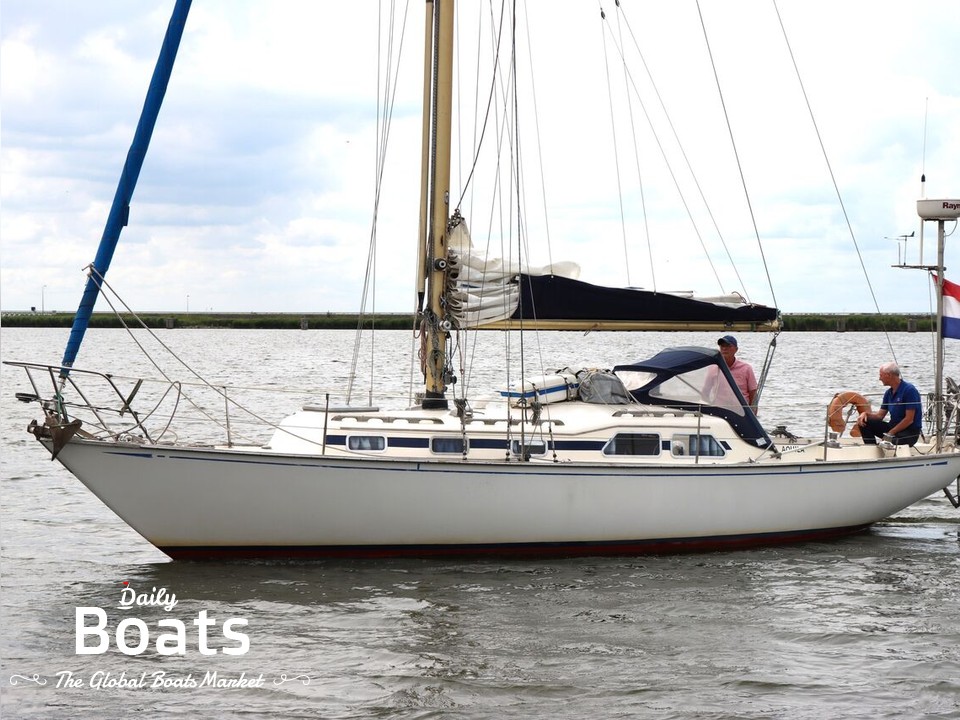 1973 Raider 35 for sale. View price, photos and Buy 1973 Raider 35 #384713