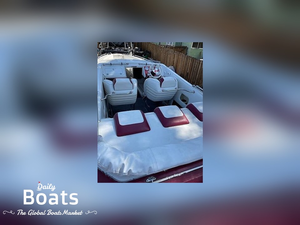 2007 Warlock Powerboats 25 World Class for sale. View price, photos and ...