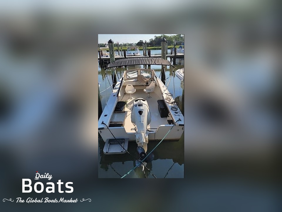 1998 Steiger Craft Block Island 19 for sale. View price, photos and Buy ...