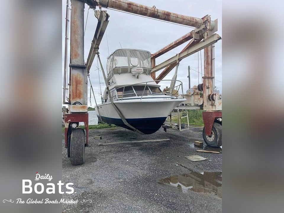 1979 Phoenix 29 Convertible for sale. View price, photos and Buy 1979 ...