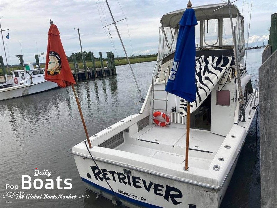 1979 Phoenix 29 Convertible for sale. View price, photos and Buy 1979 ...