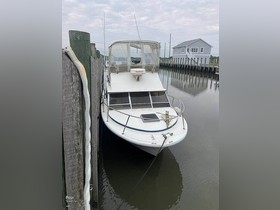 1979 Phoenix 29 Convertible for sale. View price, photos and Buy 1979 ...