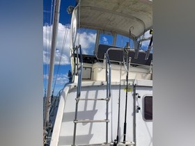 1979 Phoenix 29 Convertible for sale. View price, photos and Buy 1979 ...