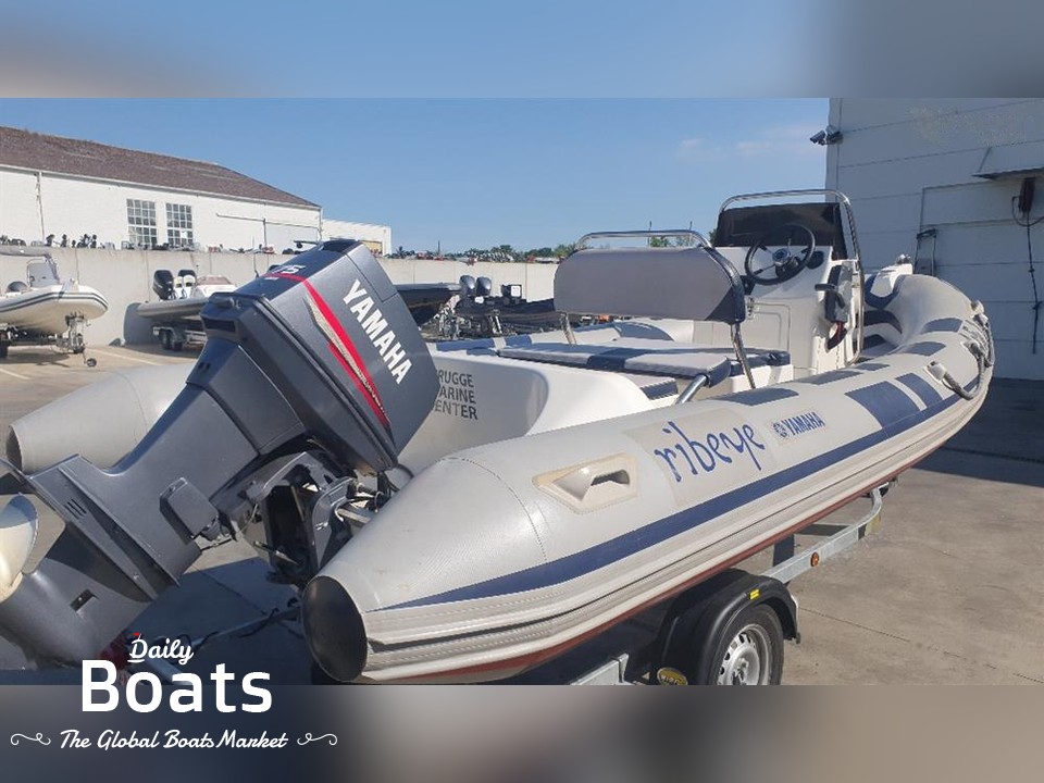 2002 Ribeye Playtime 550 for sale. View price, photos and Buy 2002 ...
