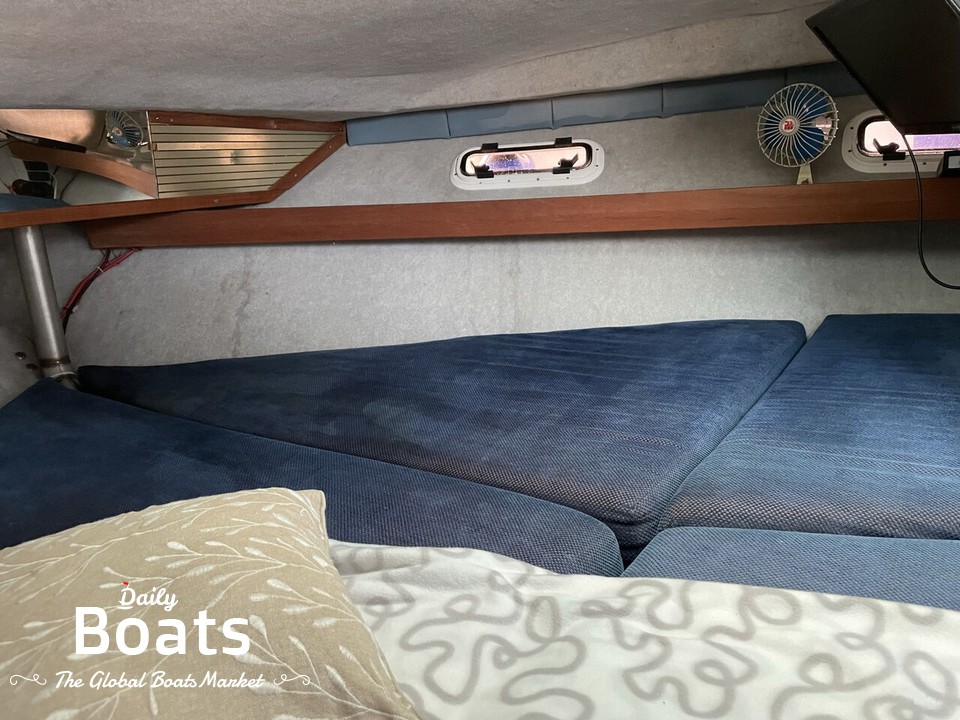 1989 Bayliner 2858 Fly for sale. View price, photos and Buy 1989 ...