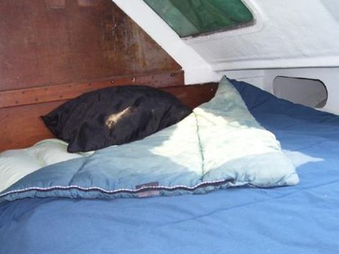 1980 Prout Ranger for sale. View price, photos and Buy 1980 Prout ...