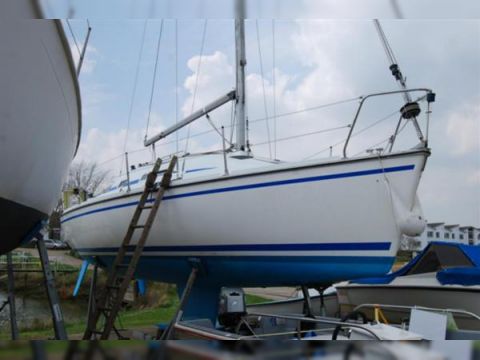 1988 MG Spring 25 for sale. View price, photos and Buy 1988 MG Spring ...