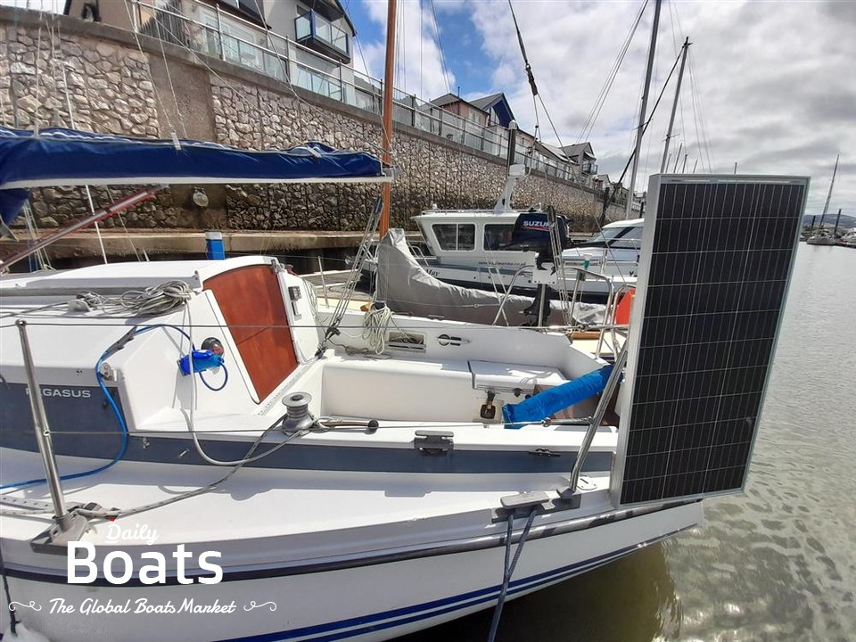 1979 Pegasus 800 en venta. Ver precio, fotos y Comprar 1979 Pegasus 800 ...