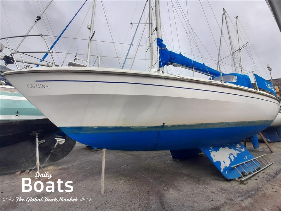 1981 Westerly Discus for sale. View price, photos and Buy 1981 Westerly ...