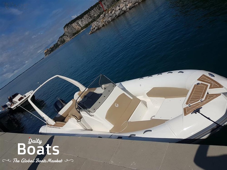 2015 Capelli Boats Tempest 800 for sale. View price, photos and Buy ...