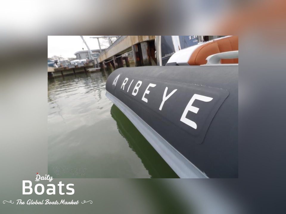 2020 Ribeye A600 for sale. View price, photos and Buy 2020 Ribeye A600 ...